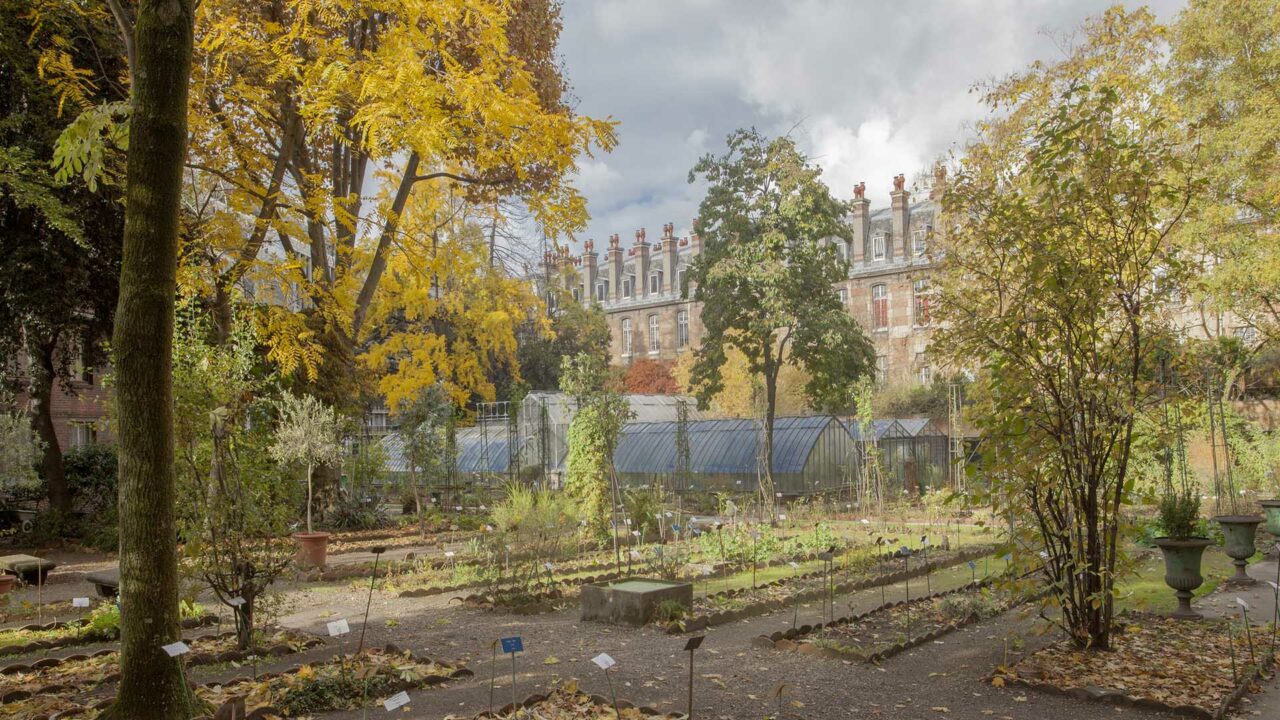 Les lieux emblématiques | Faculté de pharmacie de Paris
